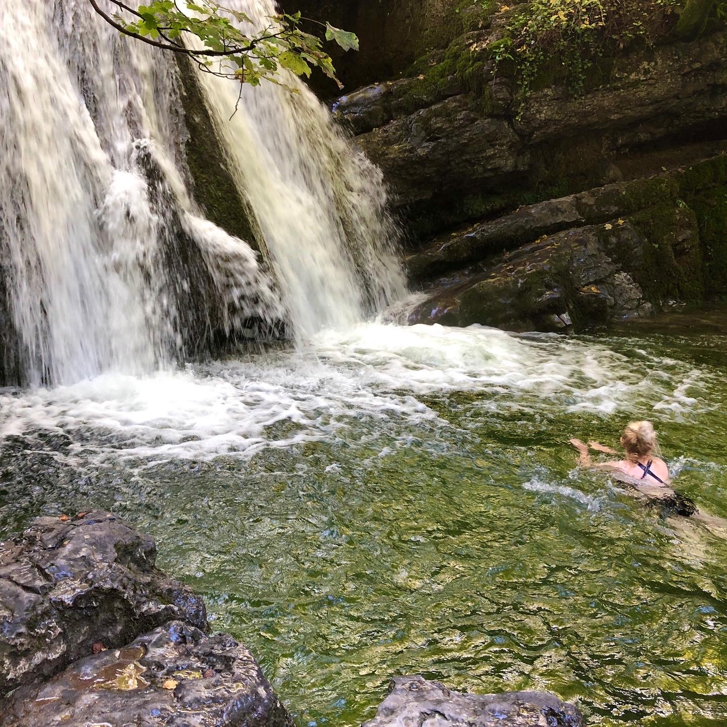 Events - Friends of the Dales